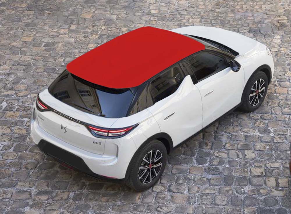 Covering auto rouge mat 2D